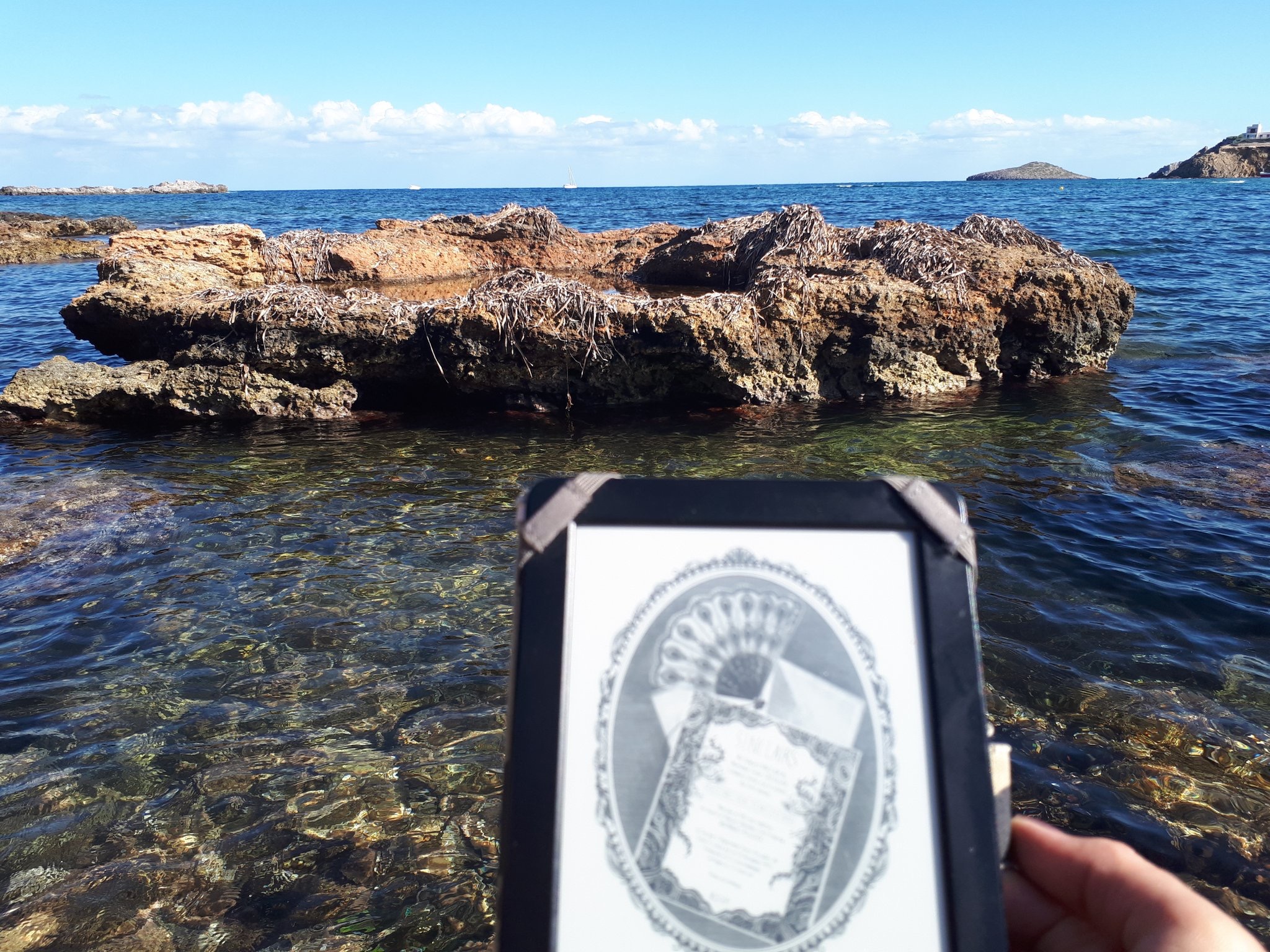 The Midnight Peacock by Katherine Woodfine – Miss Cleveland is reading…