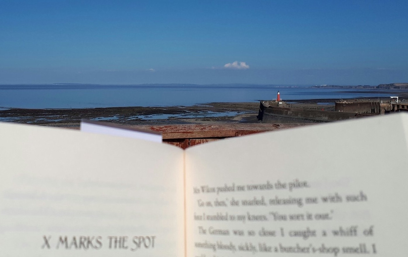 Letters From The Lighthouse by Emma Carroll – Miss Cleveland is reading…