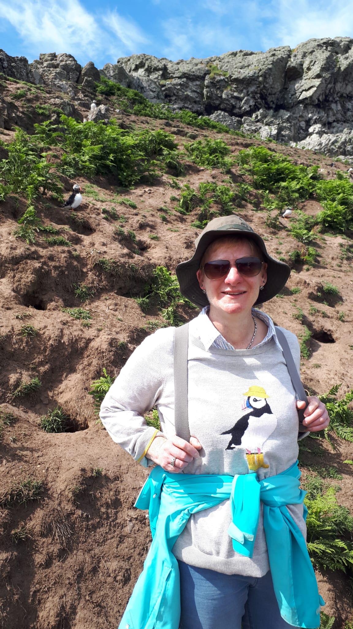 Call The Puffins! by Cath Howe, illustrated by Ella Okstad – Miss ...