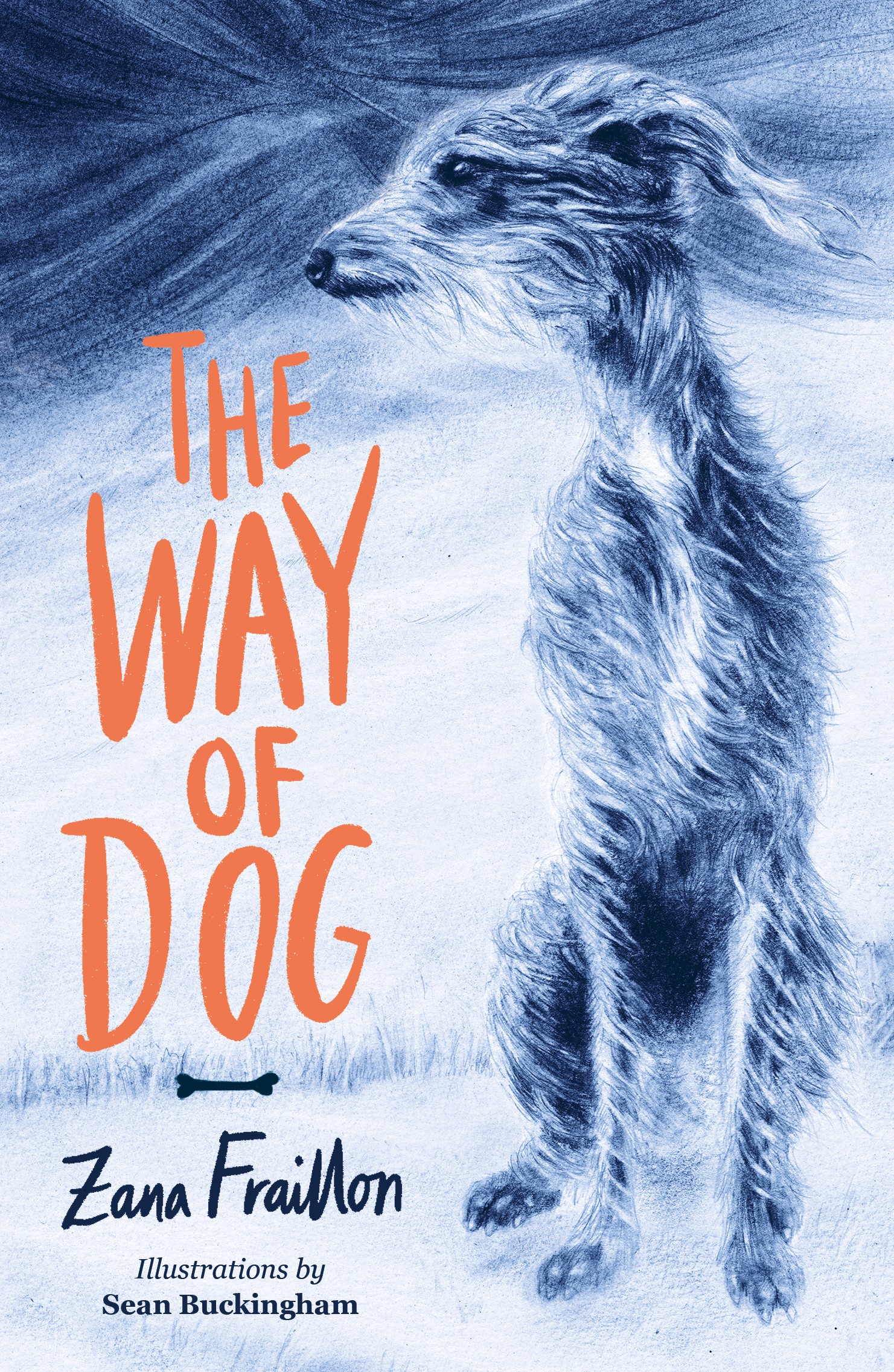 The Way Of Dog by Zana Fraillon, illustrated by Sean Buckingham – Miss ...
