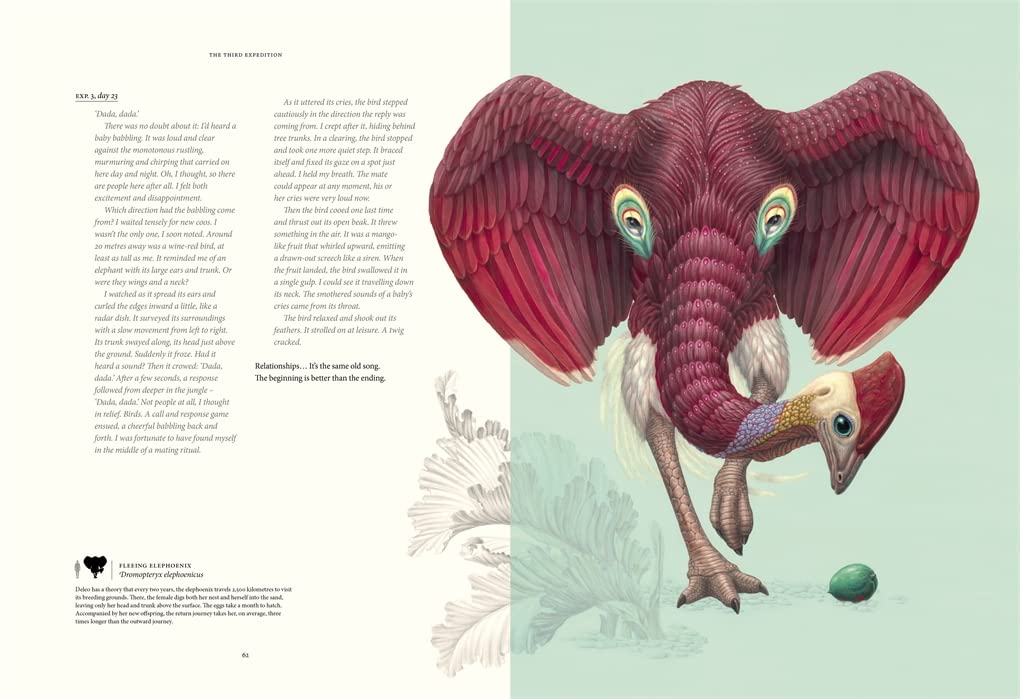 Terra Ultima: The Discovery Of A New Continent by Raoul Deleo – Miss ...