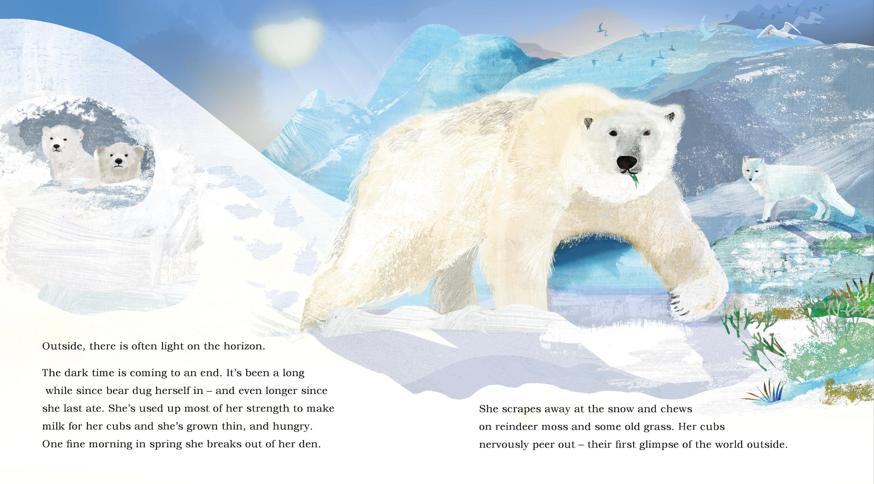 Ice Journey Of The Polar Bear by Martin Jenkins, illustrated by Lou ...
