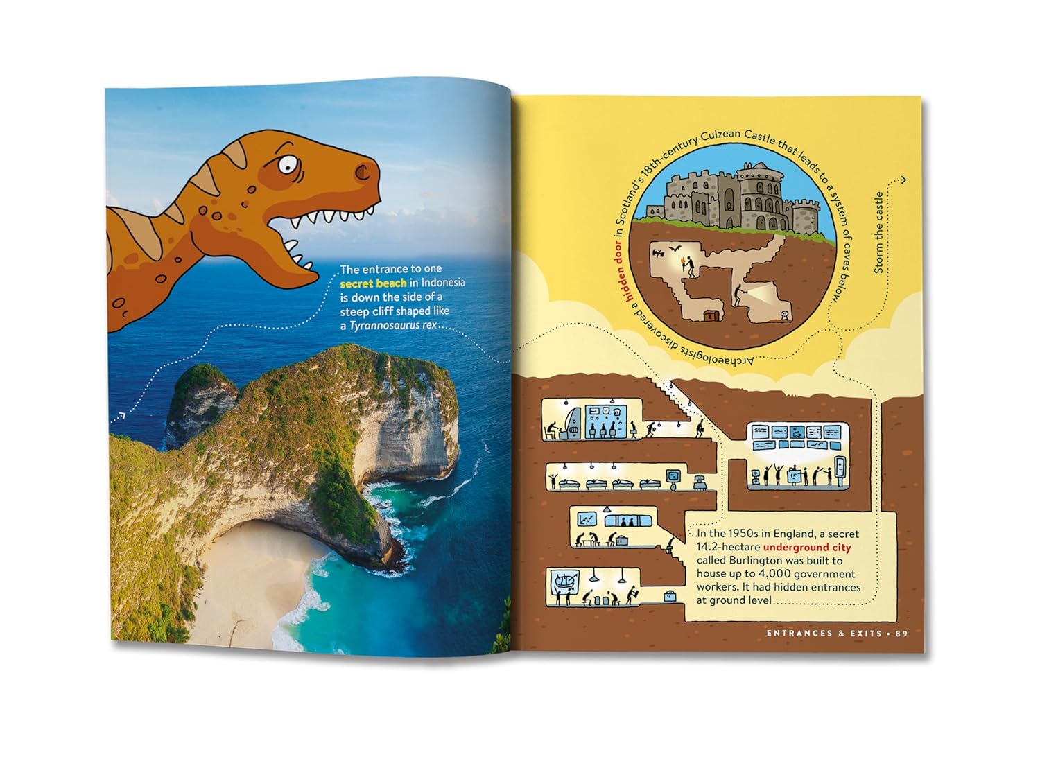 Secret Factopia by Paige Towler, illustrated by Andy Smith – Miss ...